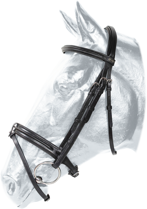 BRIDLES | Kentaur